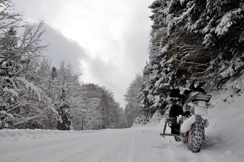 French walk | Adventure Rider
