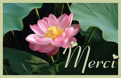 Photo Merci Fleur de l'album gifs merci