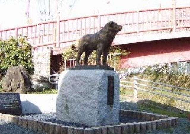 Hachiko · Benvenguda