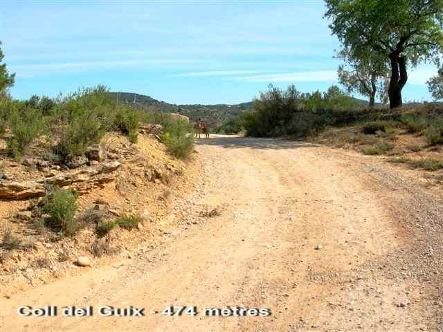 Cols de la province de Lleda (Lerida) franchis en Vélo VTT BTT
