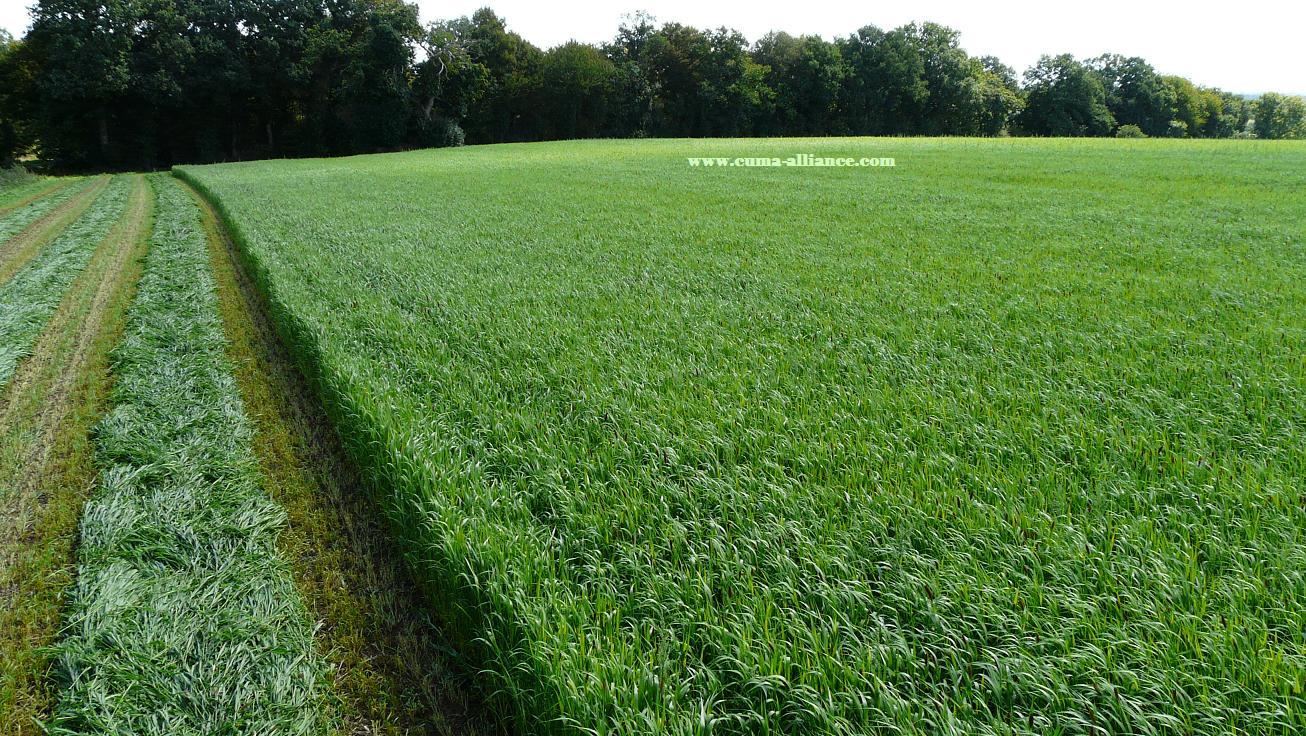 AGRICOOL : TCS - SD - SDSC - Culture - Elevage - Machinisme AGRICOOL ...
